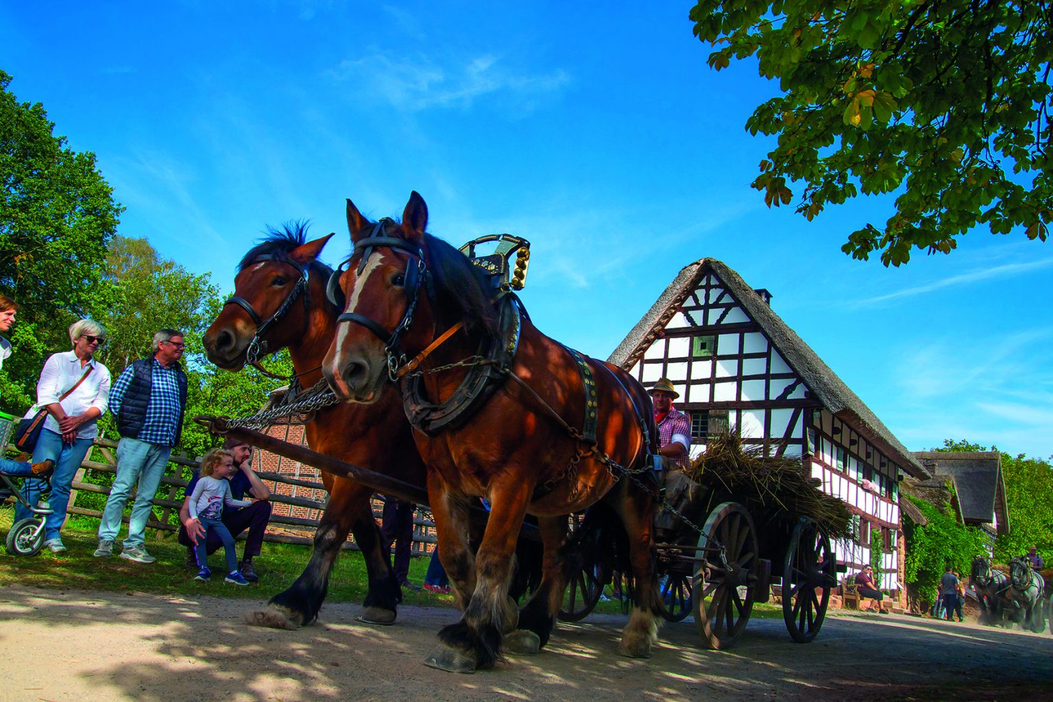 „Nach der Ernte“ im Freilichtmuseum Kommern am 17. und 18. September ...