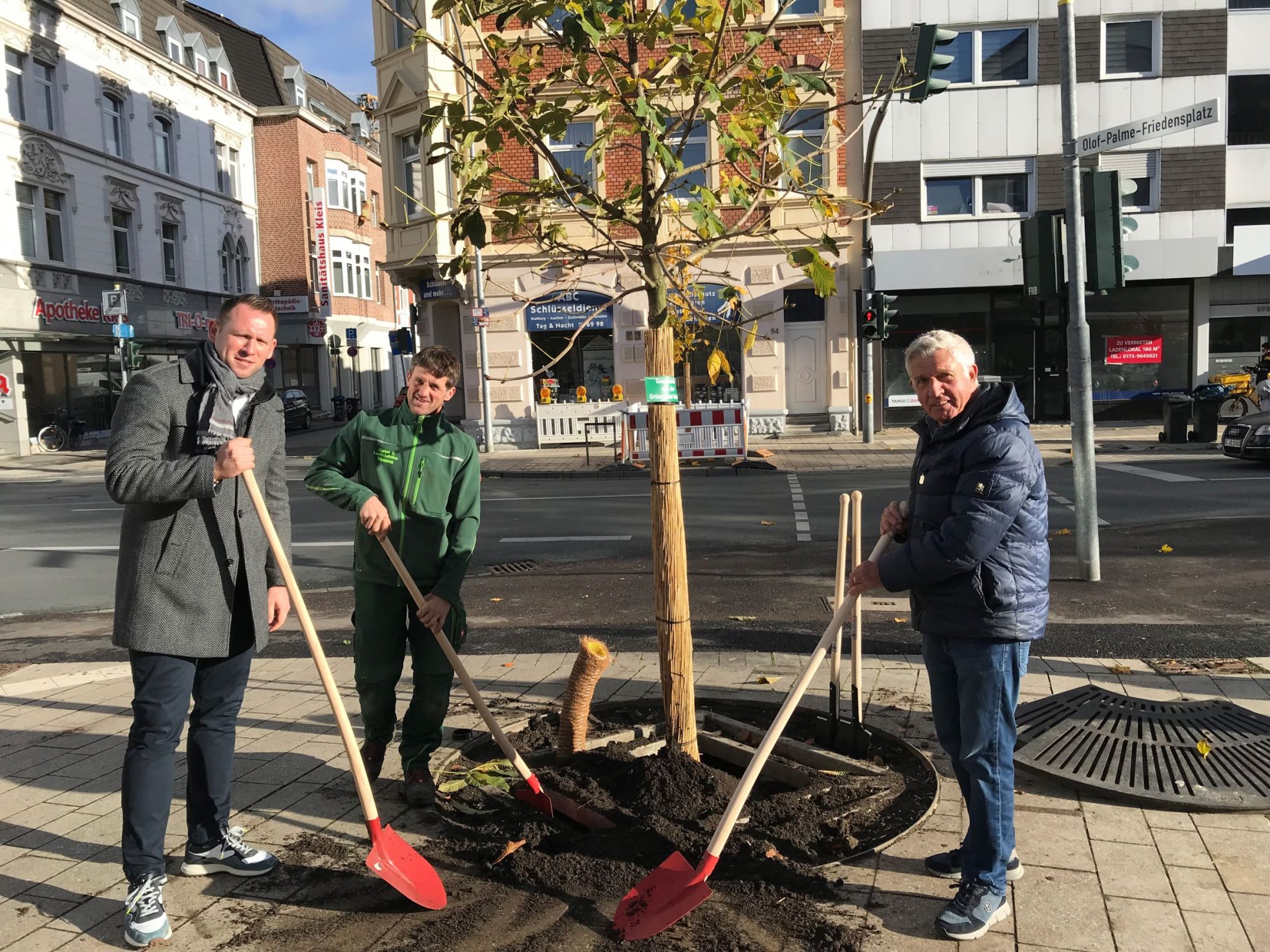 Grünenthal spendet Pflanzung junger Bäume in der Stolberger Innenstadt ...